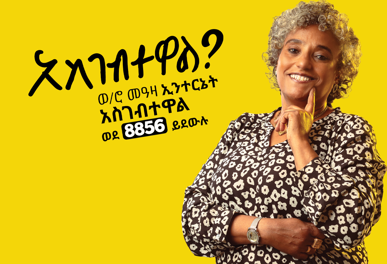 Mrs. Meaza - WEBSPRIX IT SOLUTION PLC